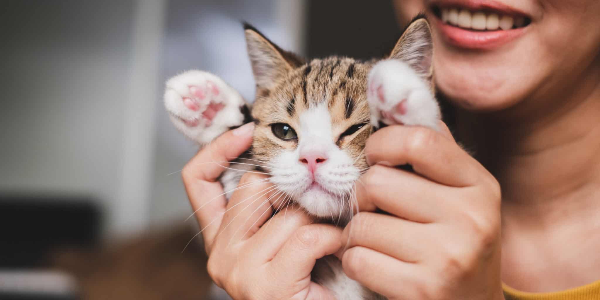 Why Do Cats Hunt Their Owners?
