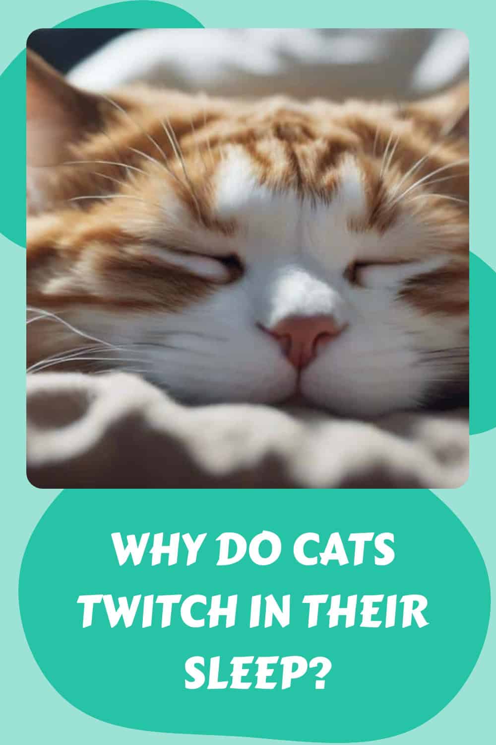 Why Do Cats Twitch In Their Sleep?